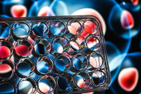 Achievements of modern biological science. A 24-well cell culture plate ...