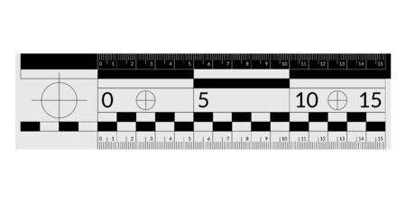 Vector of Forensic ruler for measuring - ID:139943062 - Royalty Free ...