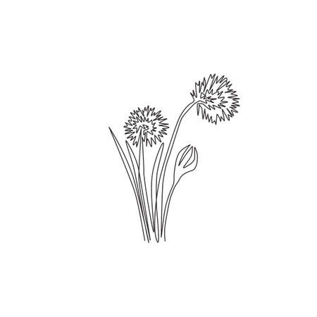 Chives Illustration