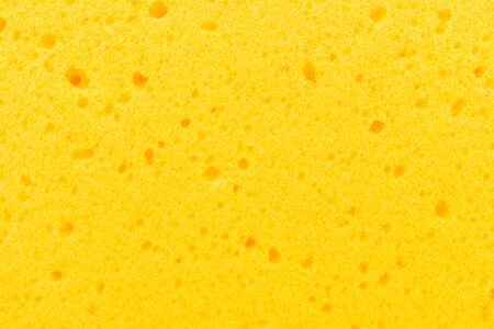Abstract macro Sponge textures for background - Stock Image - Everypixel