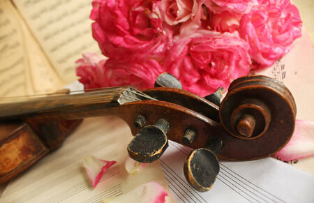 Beautiful violin - Stock Image - Everypixel