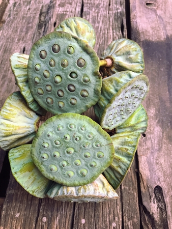 Lotus seed is a green bean plant with white seeds on the Asian side ...