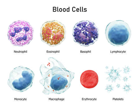 Photo of Blood cells series . - ID:1-188443117 - Royalty Free Image ...
