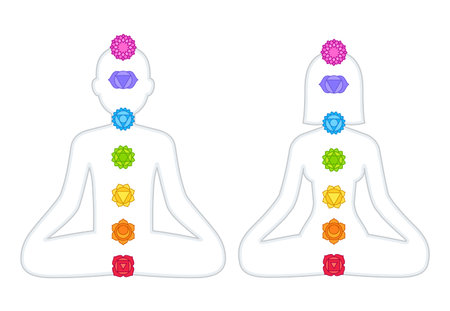 Vector of Chakras chart on male and - ID:1-134574068 - Royalty Free ...