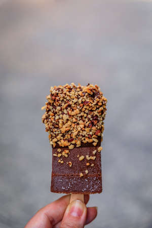 Woman holding a handmade chocolate flavor ice cream bar with hazelnut ...