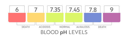Vector of Human blood ph range. Medical - ID:1-173279590 - Royalty Free ...
