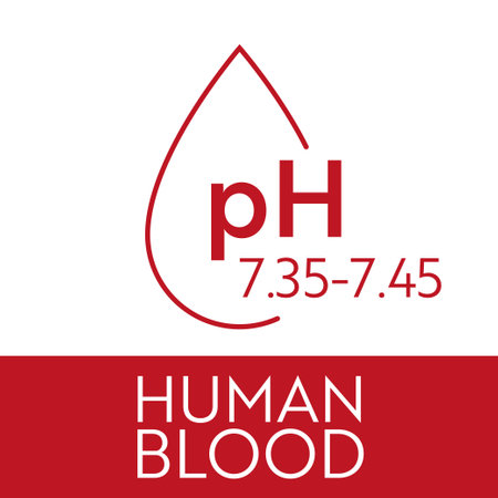 Vector of Human blood ph range. Medical - ID:1-173279117 - Royalty Free ...