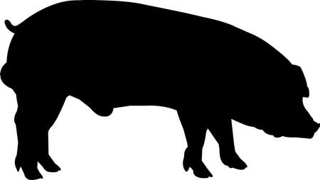 Ilustración del Duroc Pig Vector Silhouette - ID:1-158024022 - Imagen ...