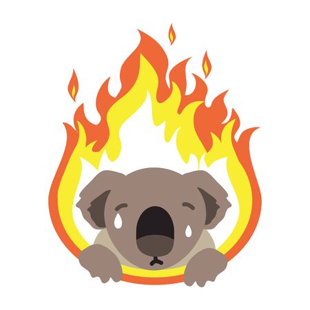 Australian Bush Illustrations Royaltyfree Vector