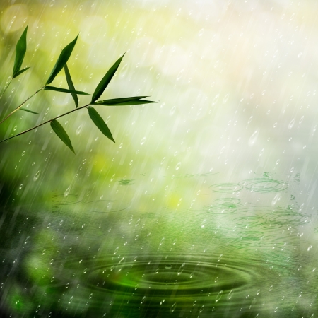 Misty rain in the bamboo forest. Abstract natural backgrounds - Stock ...