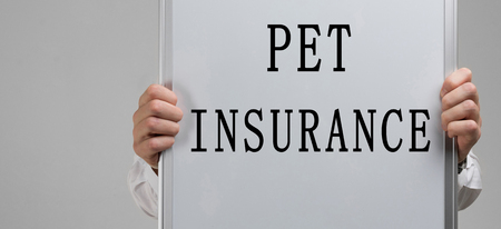hands in a white shirt with a poster pet insurance in isolation in ...