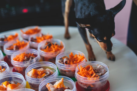 Process of preparing bowls with natural raw pet dog food at home ...