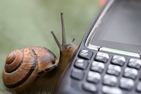 Garden snail climbing on the mobile phoneの写真素材 [40001432093] - イメージマート