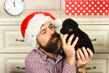 New year of dog, man with dog at present box and clock. Christmas happy ...