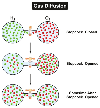 Vector of Gas Diffusion Phenomenon of - ID:1-80631816 - Royalty Free ...