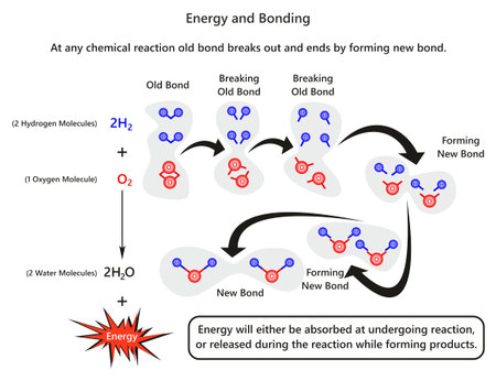 Vector of Energy and Bonding infographic - ID:1-130476198 - Royalty ...