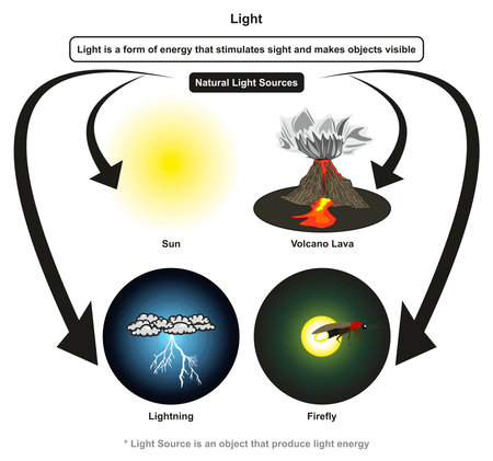 Vector of Light infographic diagram - ID:1-130476333 - Royalty Free ...