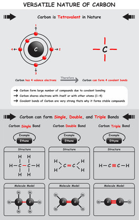 Vector of Versatile Nature of Carbon - ID:1-179501157 - Royalty Free ...
