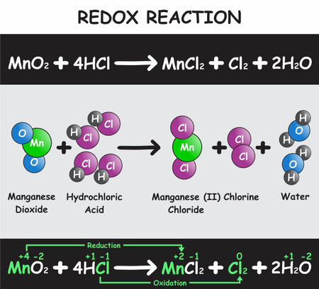 Vector of Redox Reaction Infographic - ID:1-179503101 - Royalty Free ...