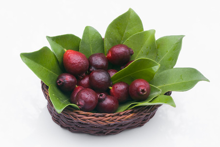 Cattley guava (Psidium littorale subsp. longipes) or Peruvian guava or ...