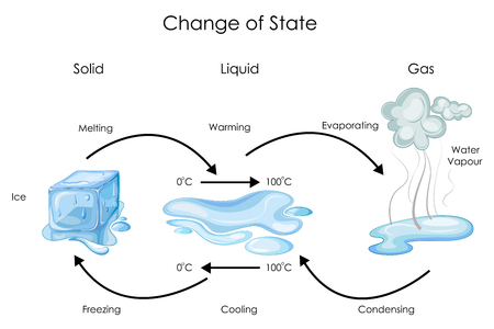 Education Chart of Biology for Change of State for Water Diagram ...