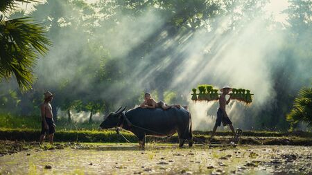 Thai farmer family,This is lifestyle of family farmer at rural Asia ...