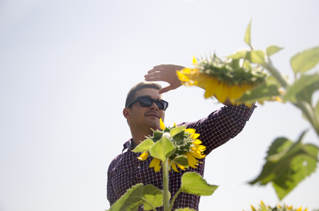 The man in the field with sunflowers - Stock Image - Everypixel