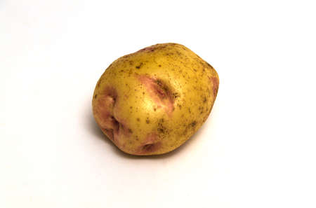 Photo of One Picasso potato variety for - ID:1-173616047 - Royalty Free ...