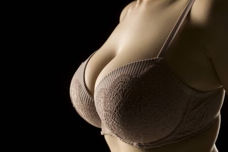 Big breast bras store