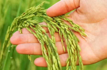 Sad farmer Images - Search Images on Everypixel