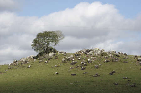 A beautiful shot of a field full of rocks of different shapes and sizes ...