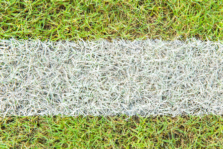 Top view of white line in football or soccer field. - Stock Image ...