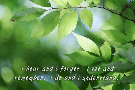 I hear and i forget. I see and remember. I do and I understand.の写真素材 ...