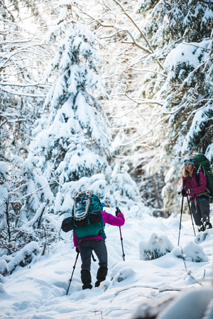 Two women in a winter hike. Girlfriends with trekking poles are on a ...