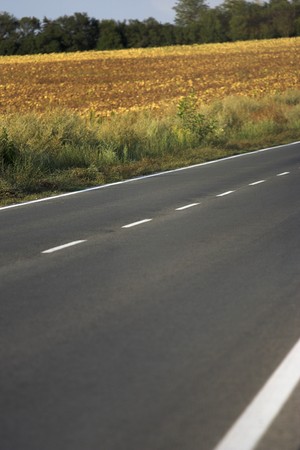 asphalt road marks and lines - Stock Image - Everypixel