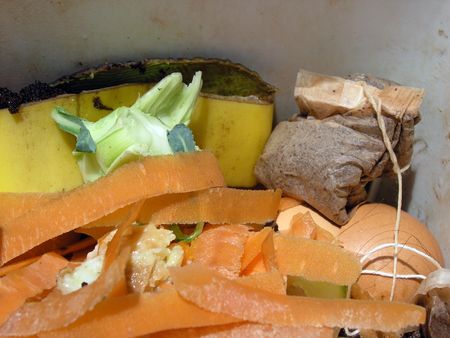 Collecting Biodegradeable Food scraps in a kitchen waste bin for ...