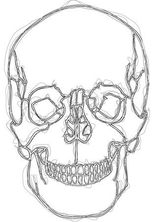 human skull scribble style drawing - Stock Image - Everypixel