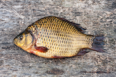 Live freshwater fish carp on a wooden board - Stock Image - Everypixel