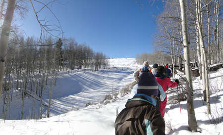 Large group of snowshoe hikers along broad snow ridge with conifers and ...