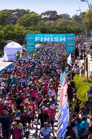 Pick n Pay Logo Vector (CDR) Download | seeklogo