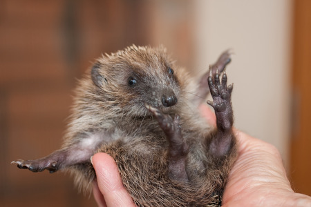 Feet in the air Images - Search Images on Everypixel