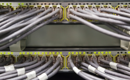 Switch ports and patch cords close up - Stock Image - Everypixel