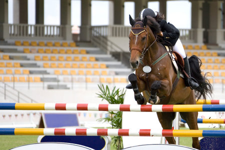 Image of an equestrian competitor in action. - Stock Image - Everypixel