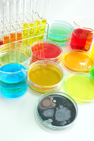 Colorful fluid in glass ware for laboratory use focusing center at ...