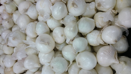 Boiler onion, Allium cepa, small onions covered with papery skin and ...