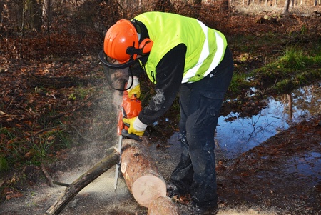 forest worker during work - Stock Image - Everypixel
